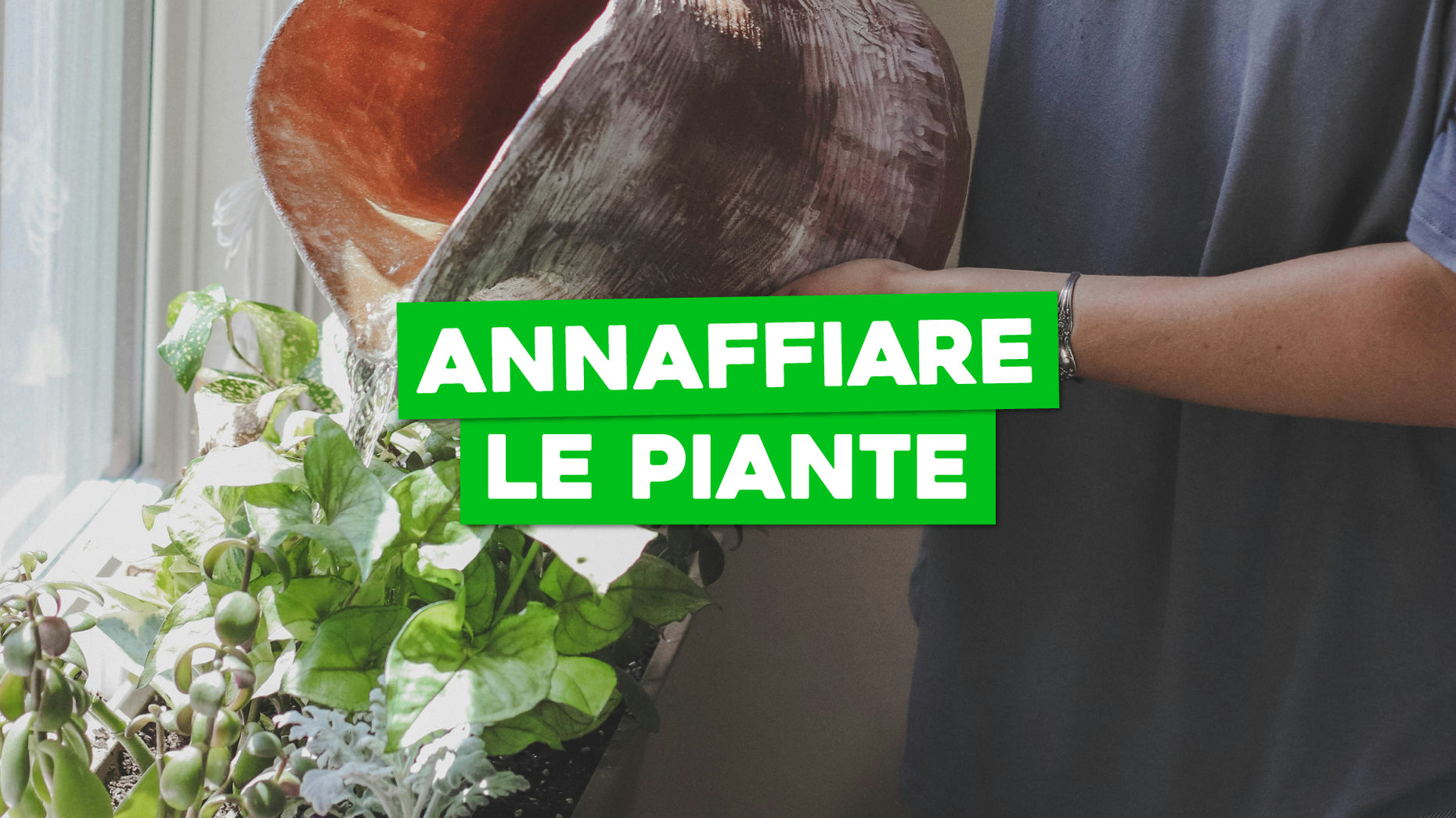 Annaffiare le Piante: Consigli Pratici per una Cura Ottimale – Simegarden