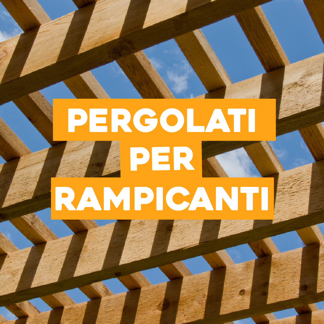 Le Piante da Frutto: Guida alla Coltivazione e alla Raccolta – Simegarden
