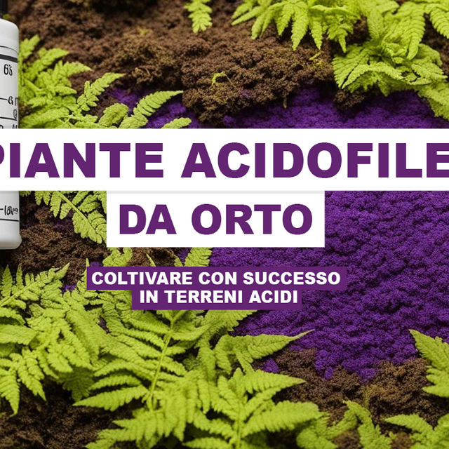 Piante Acidofile Cosa Sono: Una Guida alle Piante Amanti del Terreno A ...