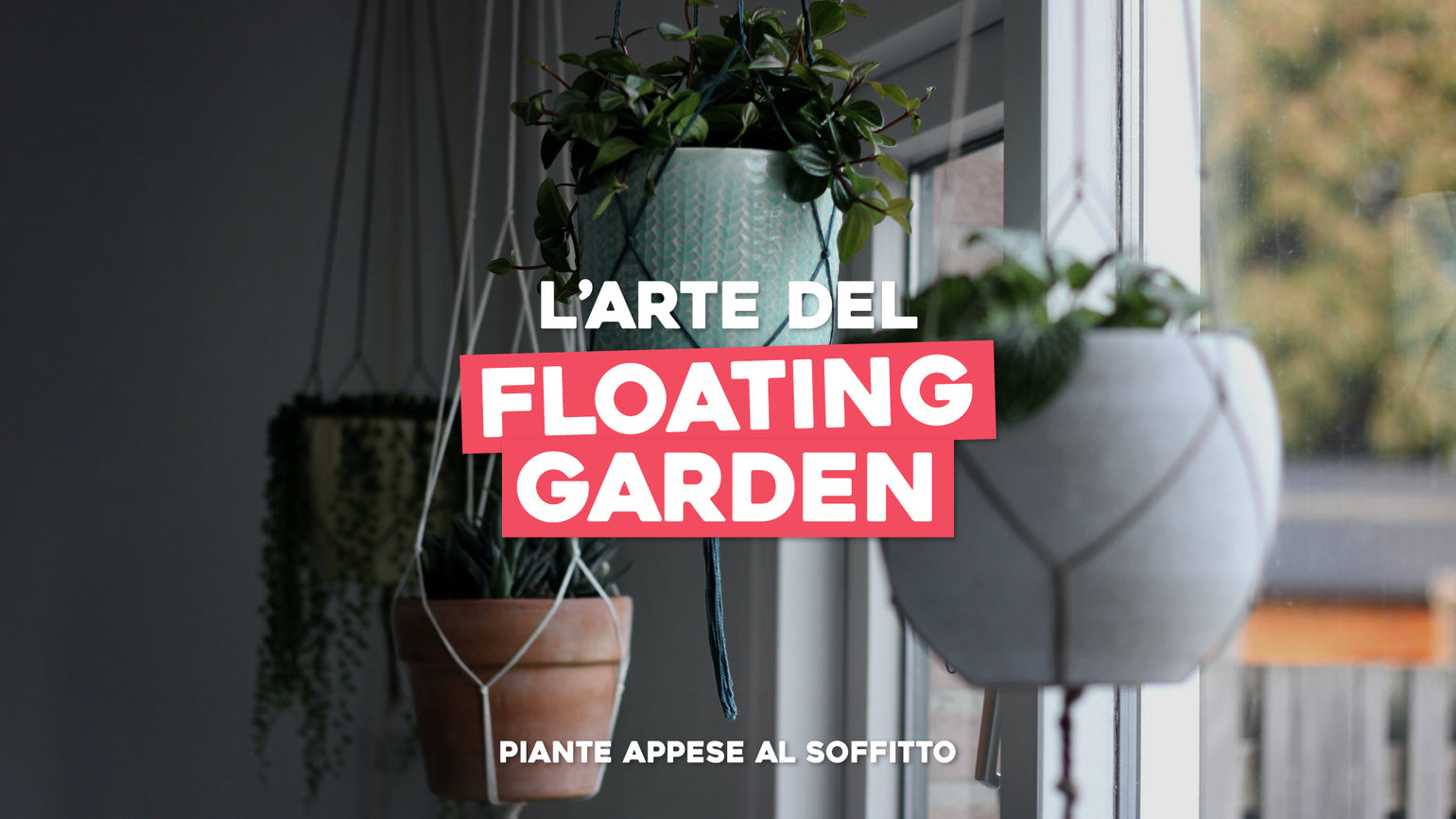 Piante appese al soffitto: l'arte del floating garden – Simegarden