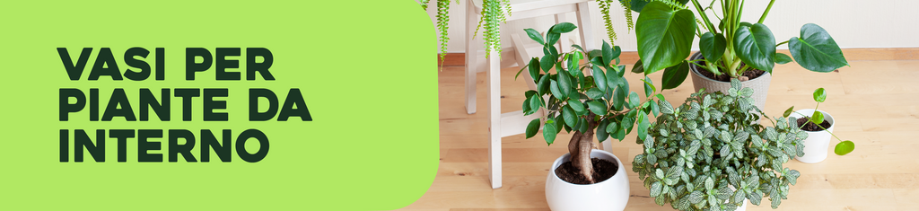 Vasi per piante da interno – Simegarden