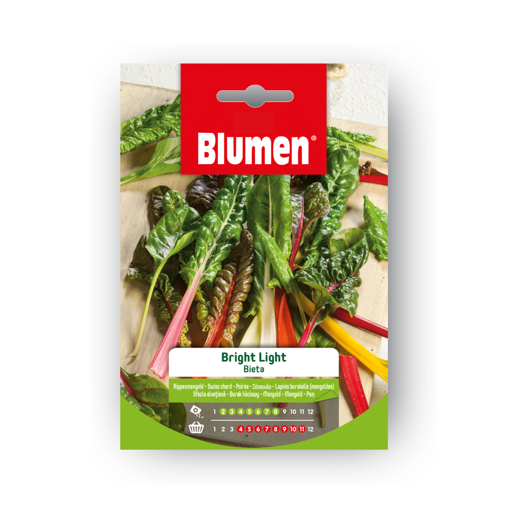 Bieta multicolore semi – Simegarden