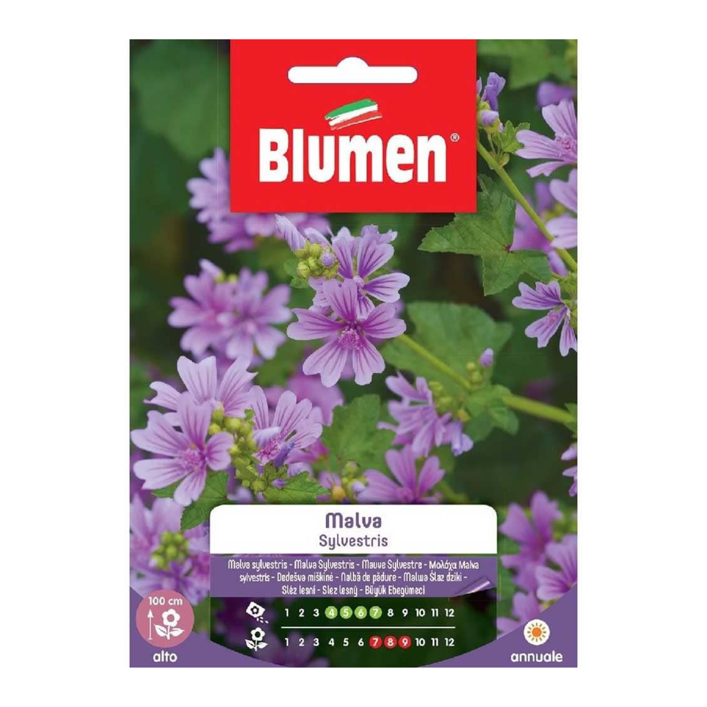 Malva sylvestris semi – Simegarden