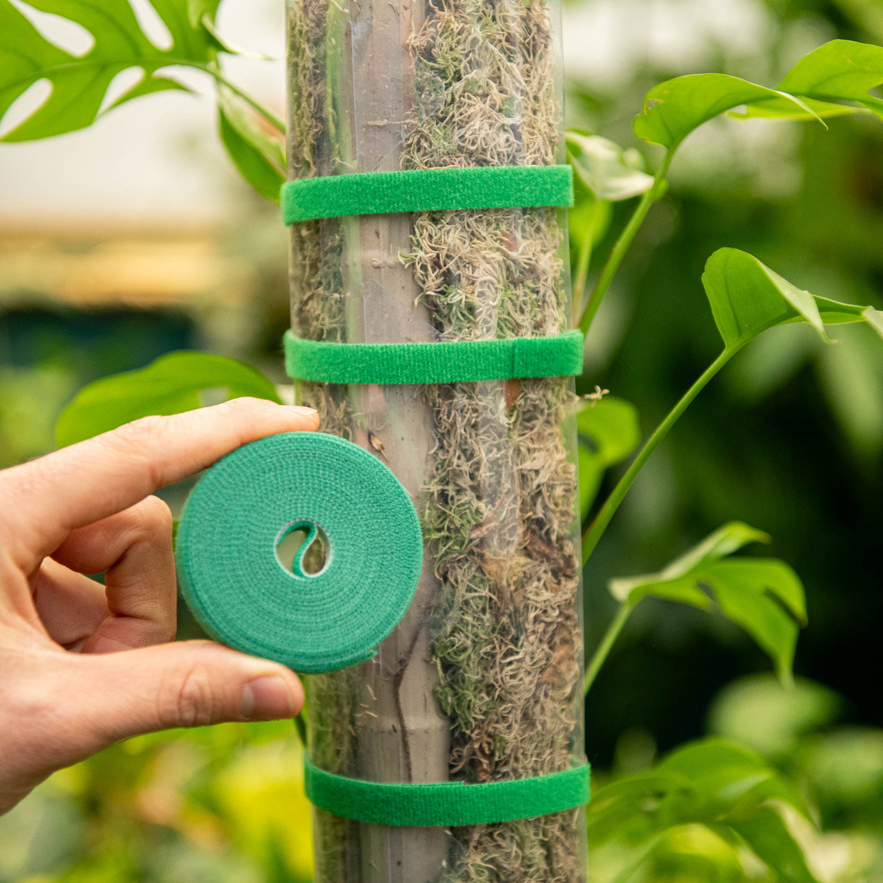 Pali per piante – Simegarden