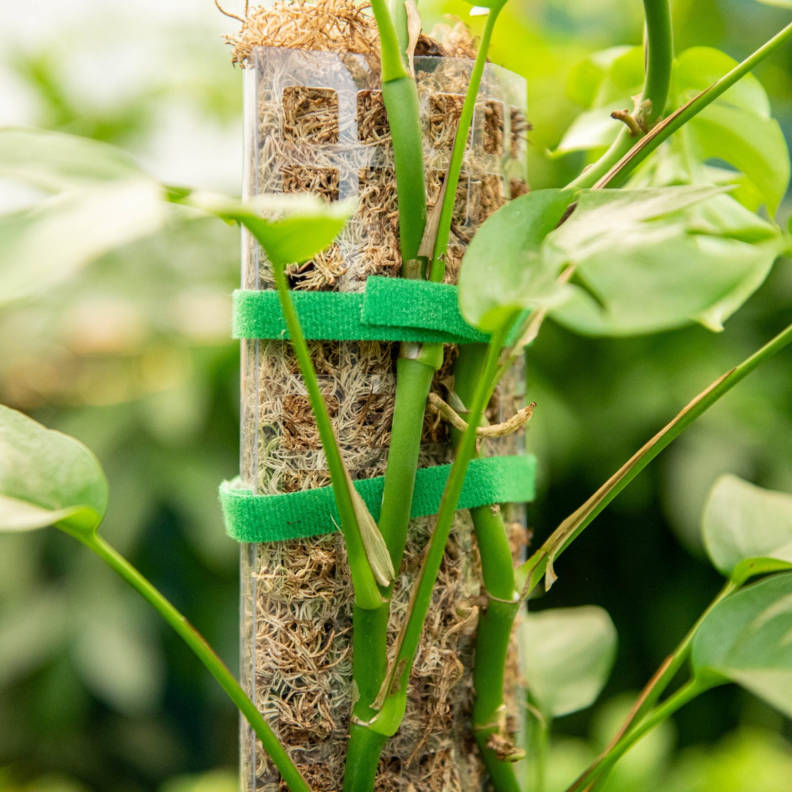 Pali per piante – Simegarden