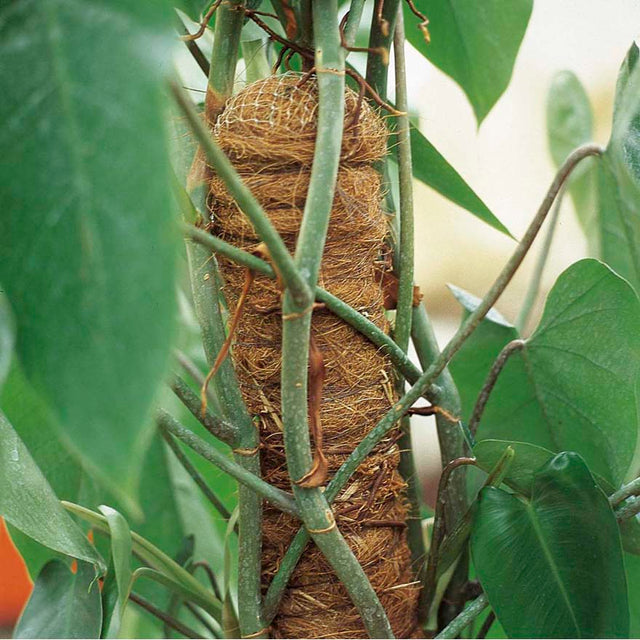 Pali per piante – Simegarden