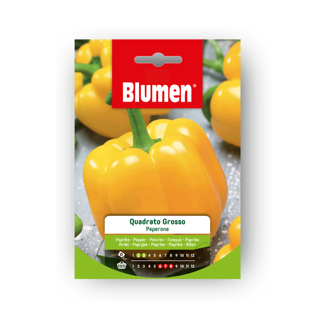 Peperone Quadrato D'asti giallo semi – Simegarden