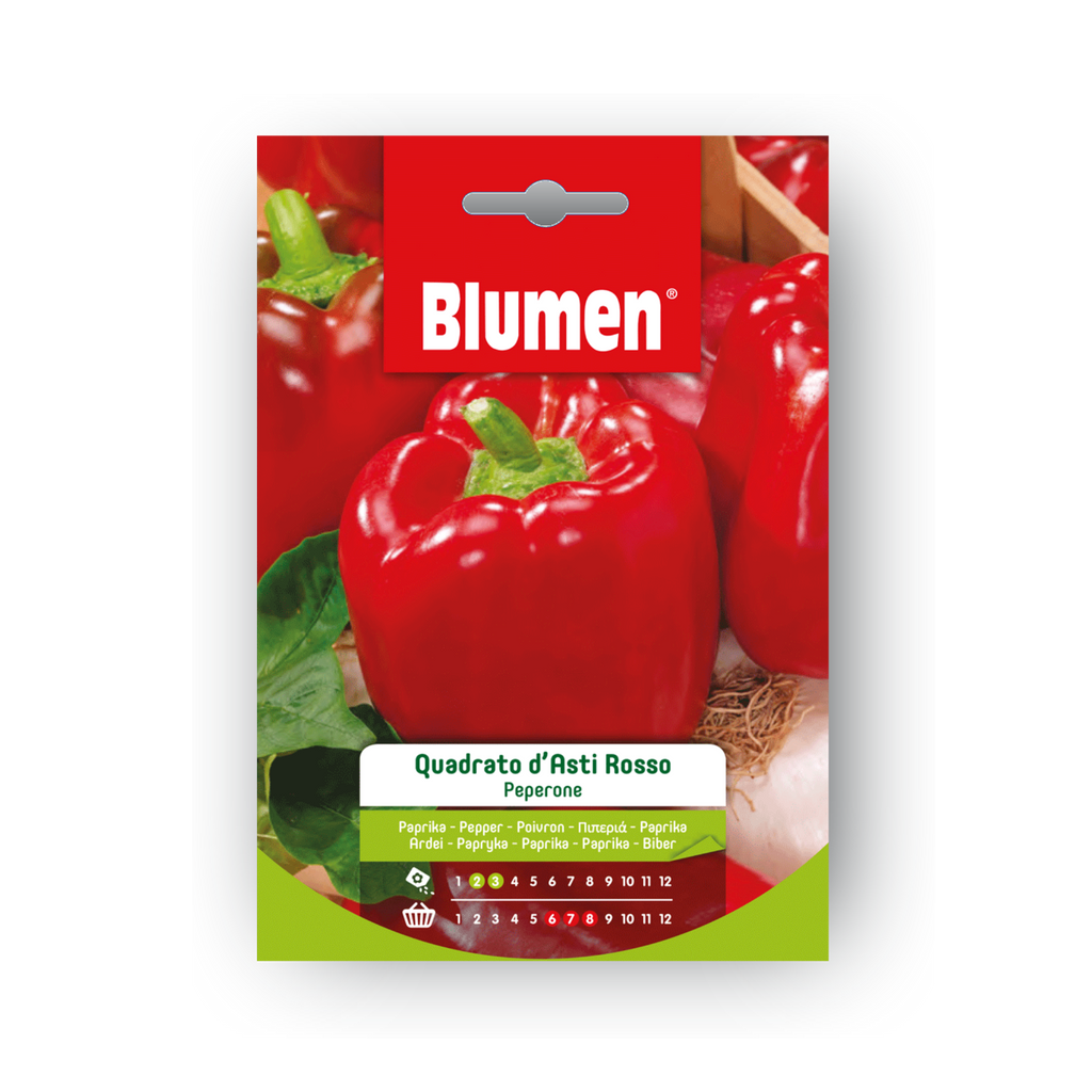 Peperone Quadrato D'asti semi – Simegarden