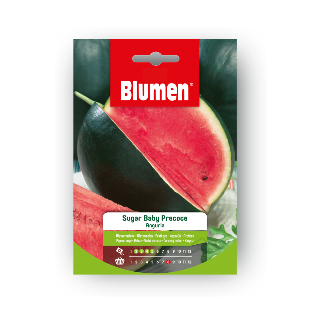 Semi di Anguria Sugar baby – Simegarden