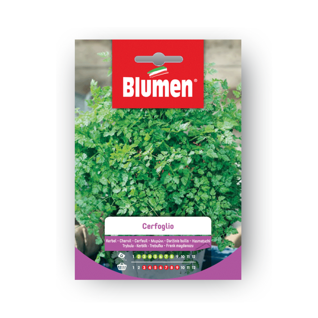 Semi di cerfoglio – Simegarden