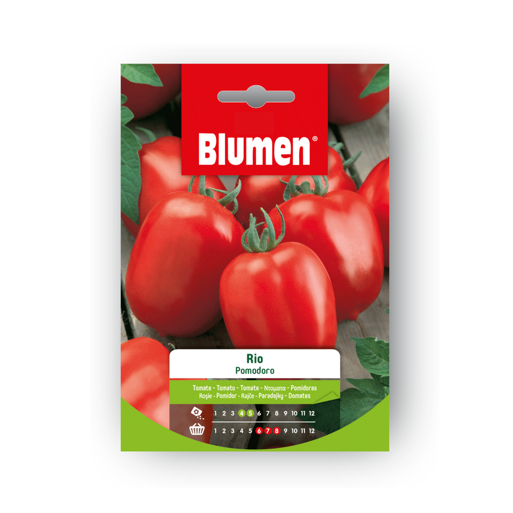 Semi di pomodoro rio grande - pomodoro big rio – Simegarden
