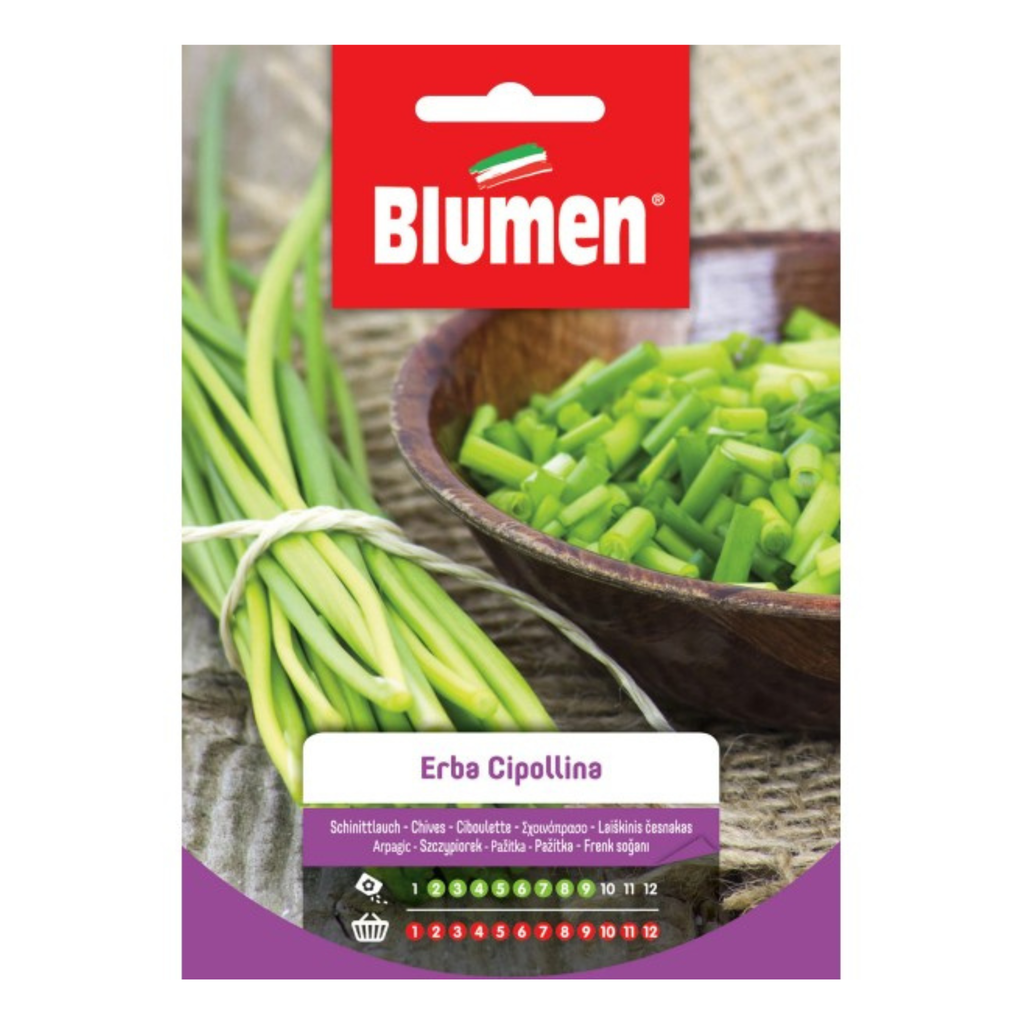 Semi Erba cipollina – Simegarden