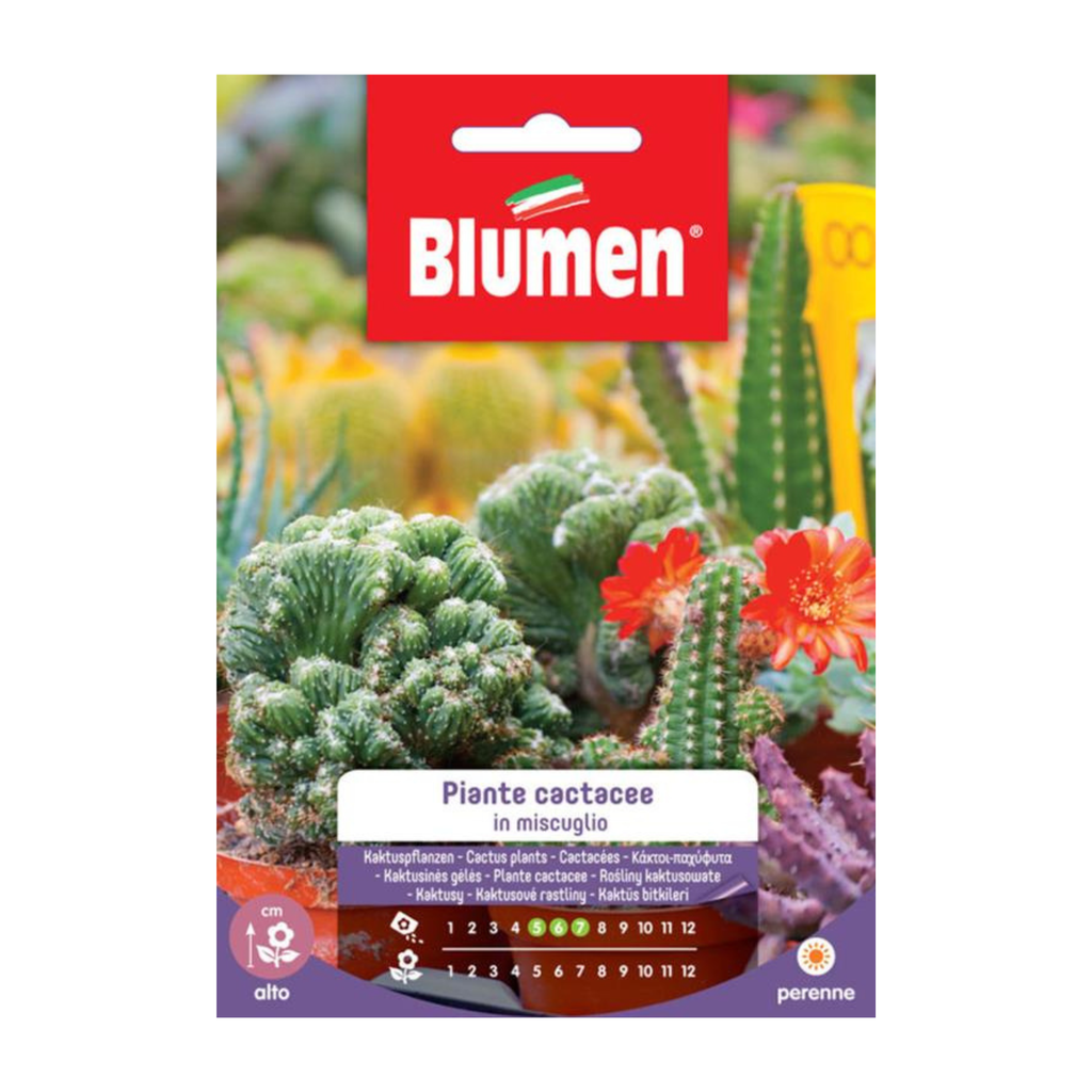 Semi piante grasse – Simegarden