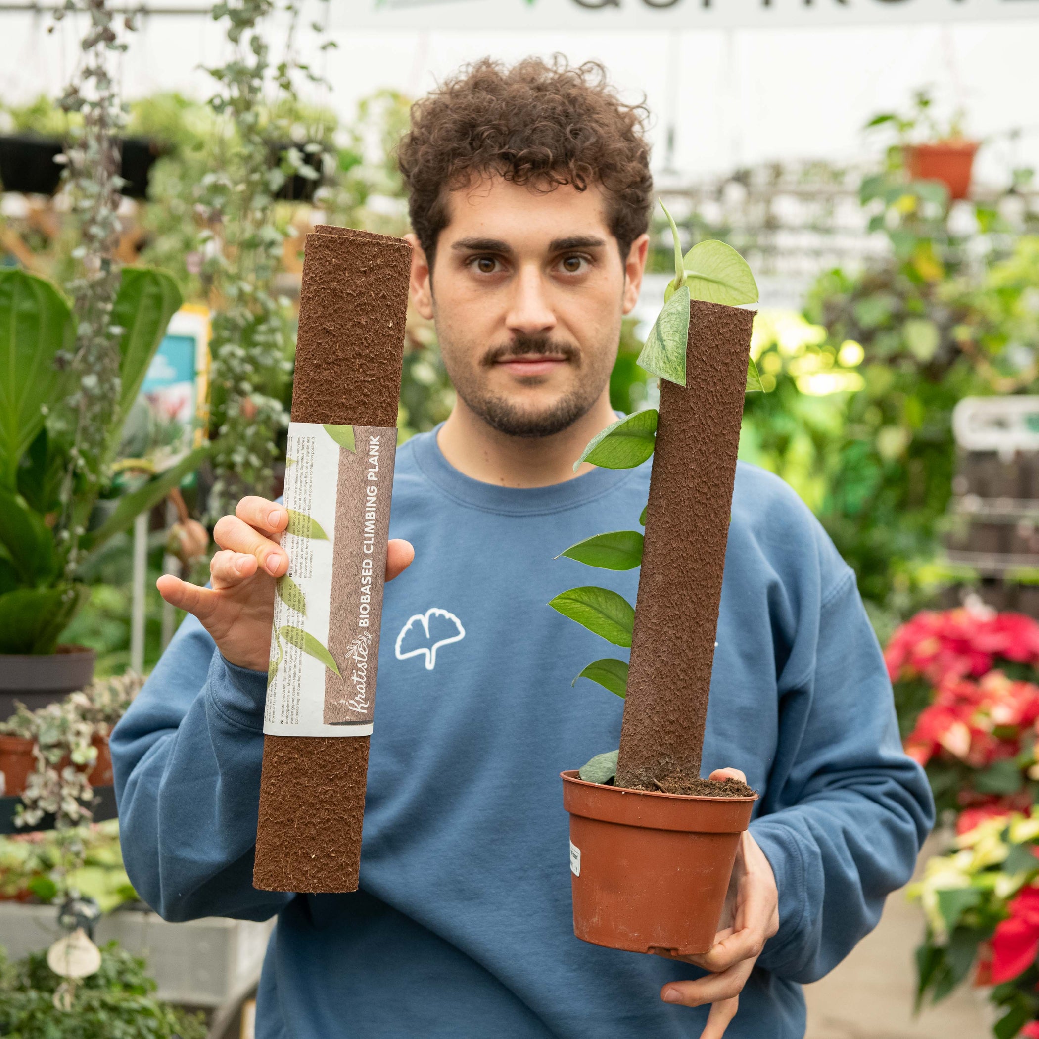 Pali per piante – Simegarden