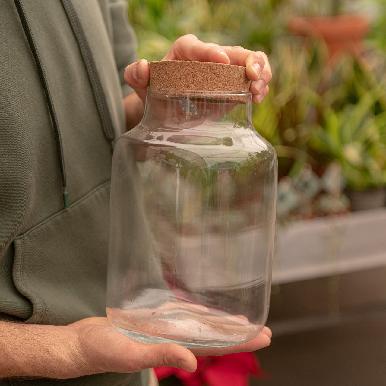 Terrario piante chiuso – Simegarden