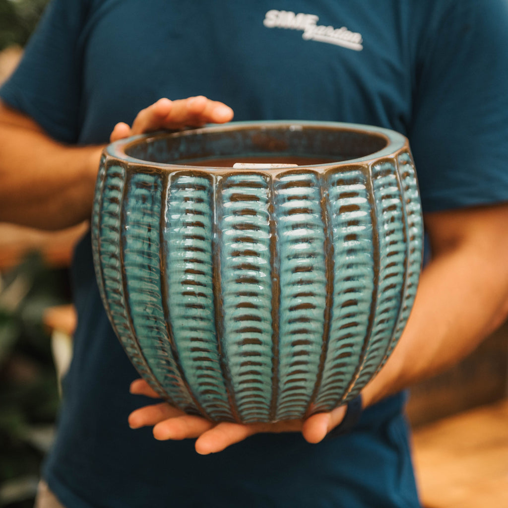 Vasi deroma ciotola hossegor – Simegarden