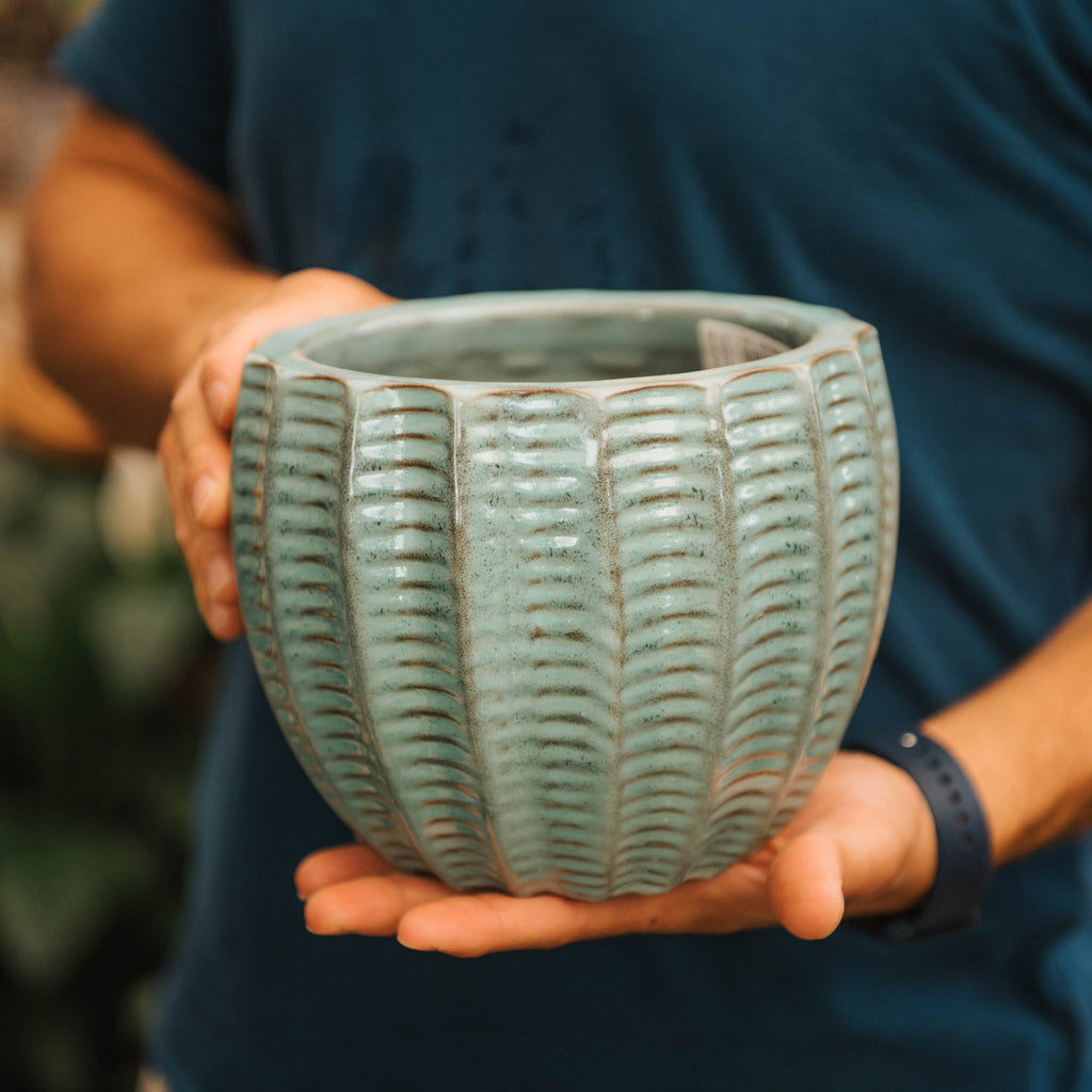 Vasi deroma ciotola hossegor – Simegarden