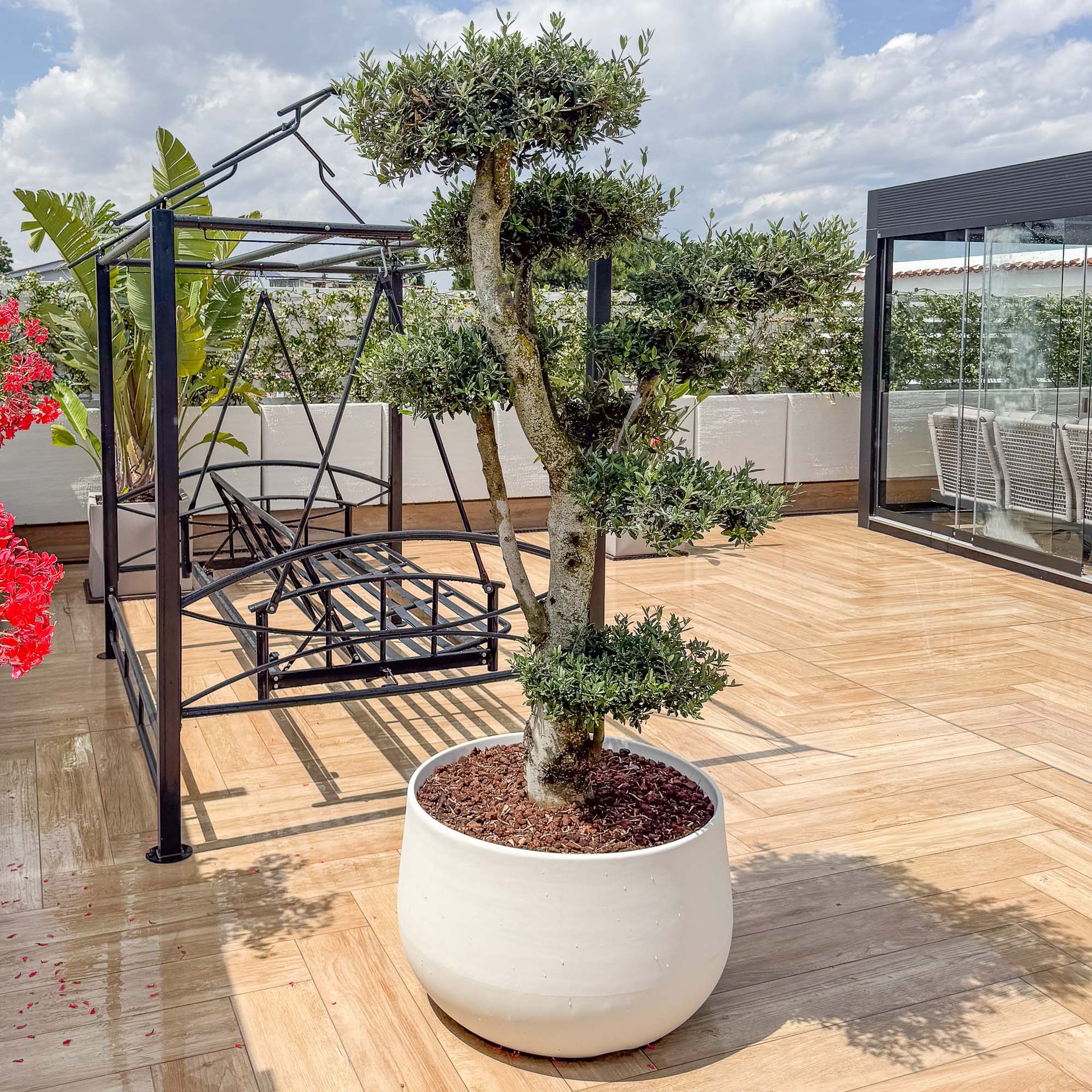 Vasi grandi – Simegarden