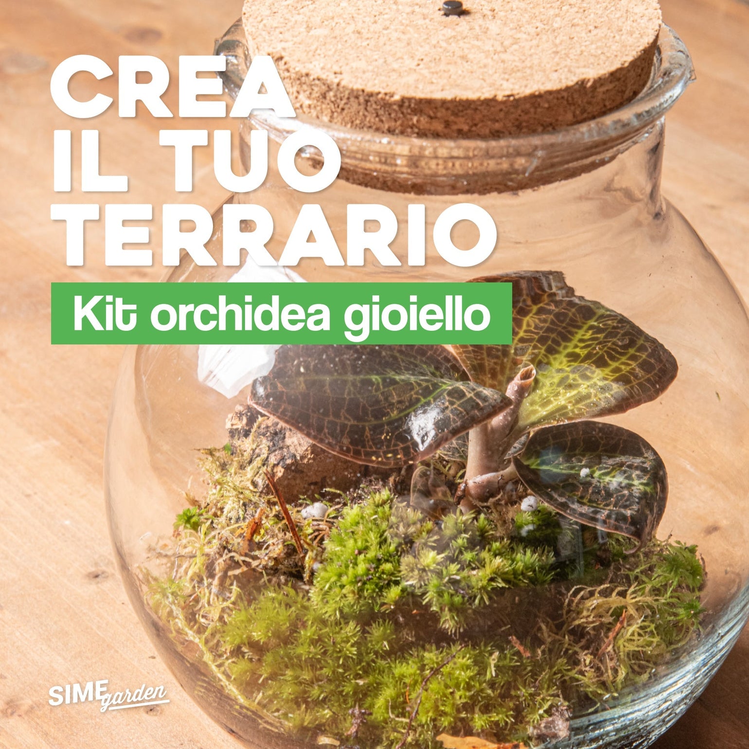 Kit Terrario Orchidea gioiello – Simegarden