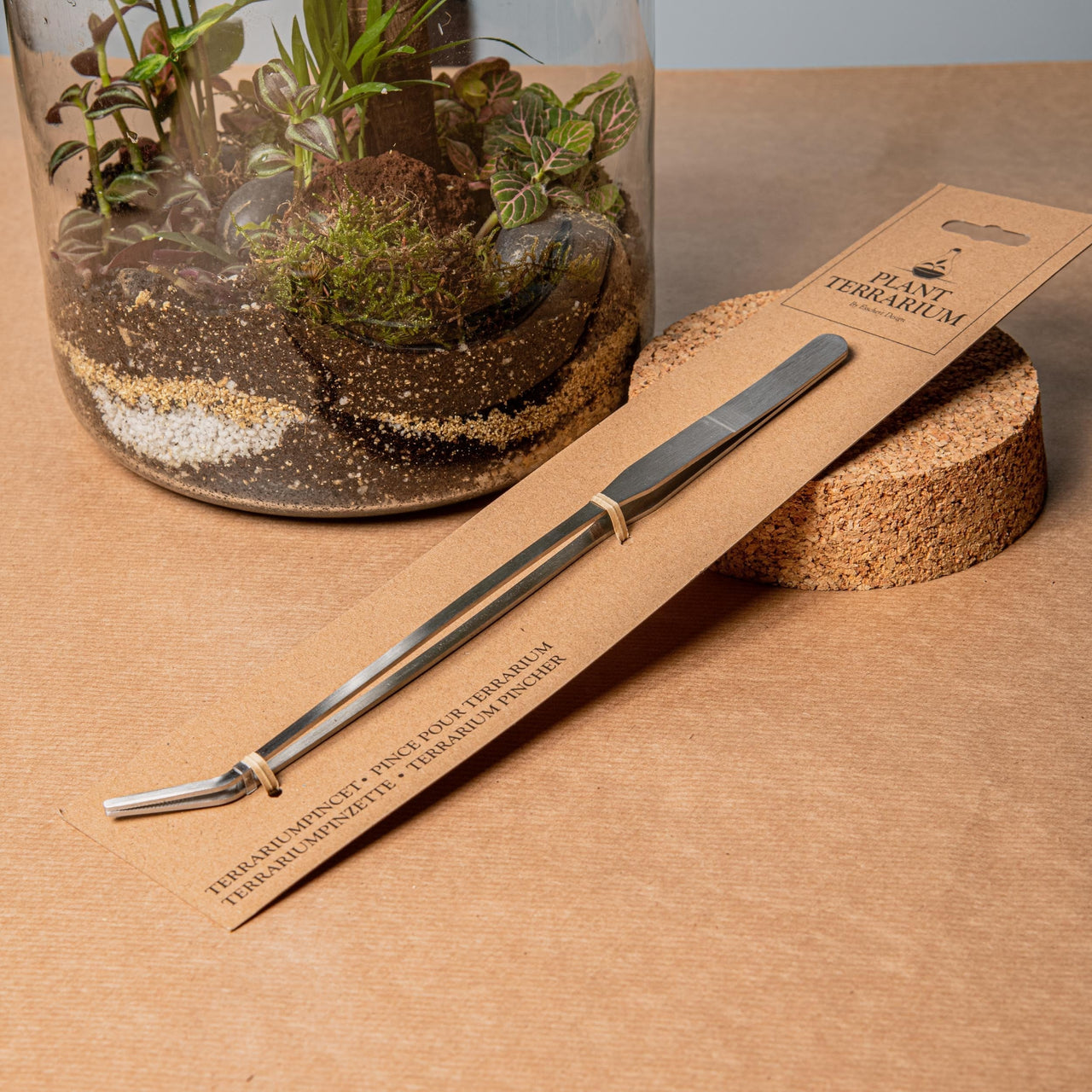 Pinze per terrari – Simegarden